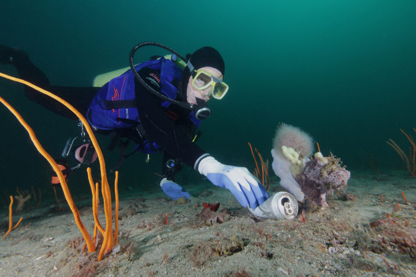 Managed Areas - South Atlantic Fishery Management Council