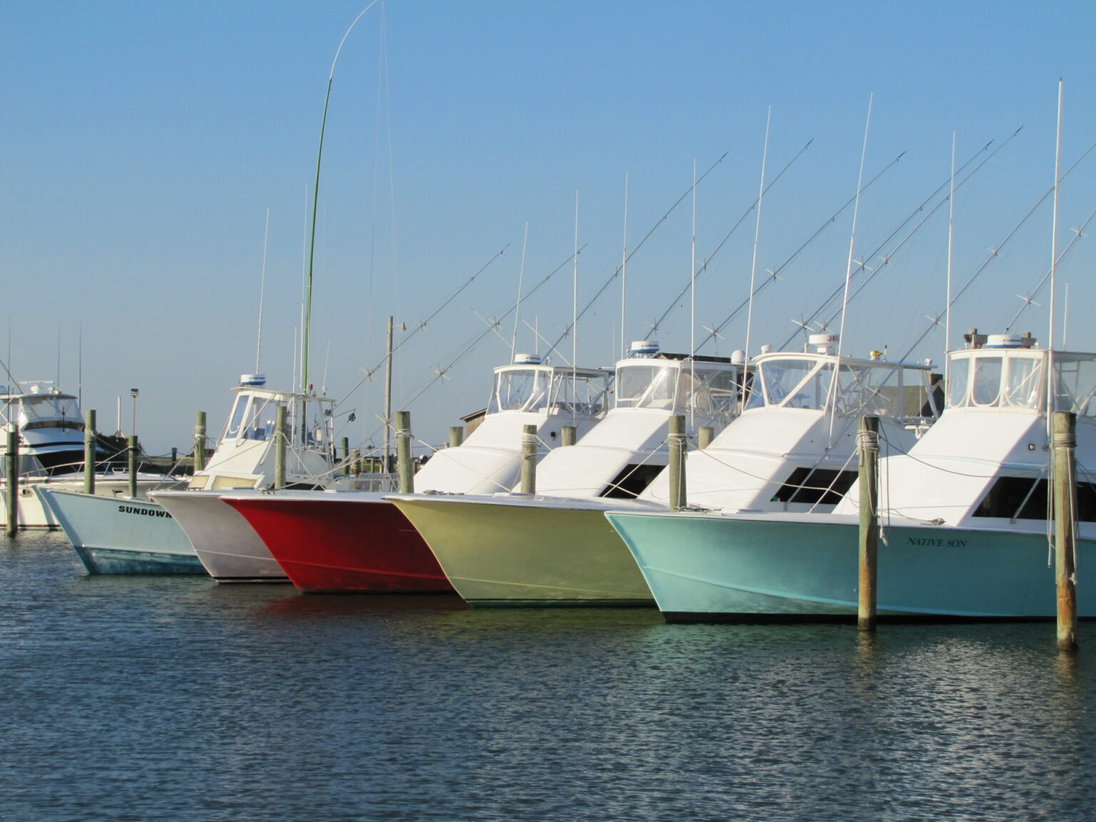 Snapper Grouper Vision Blueprint - South Atlantic Fishery Management ...