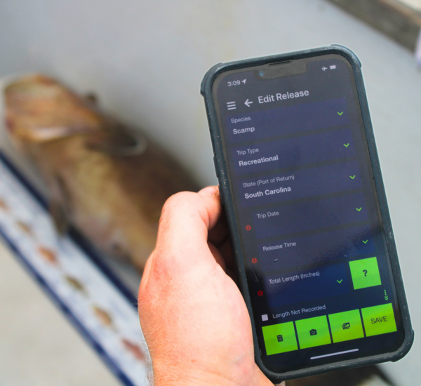 BFP Master Volunteer Program - South Atlantic Fishery Management Council