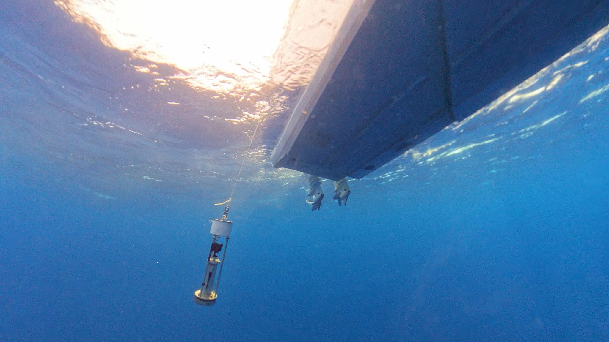 Seminar Series: Do We Still Need to Protect Fish Spawning Grounds ...